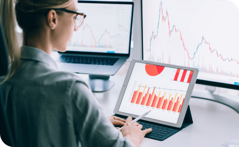 Lynx Fraud Prevention | LynxTech